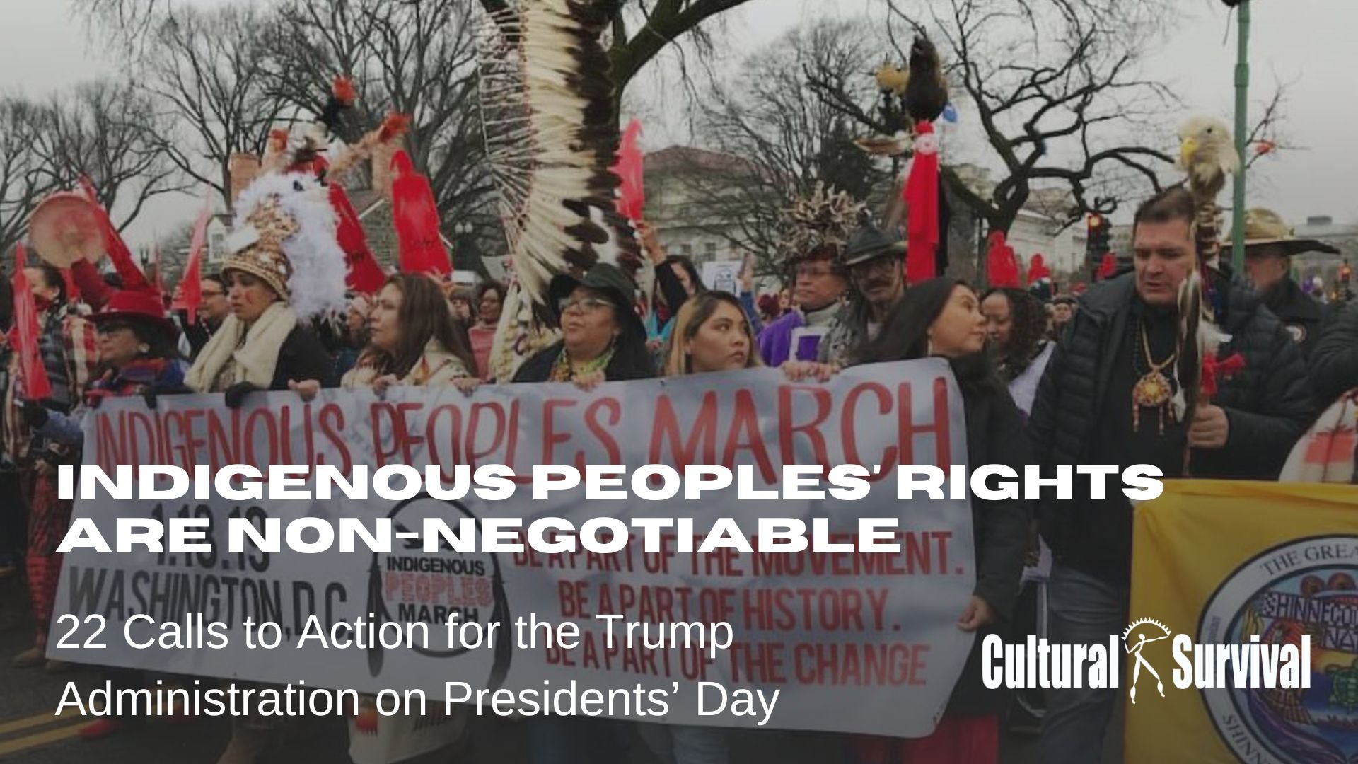 Indigenous Peoples' Rights Are Non-Negotiable: 22 Calls to Action for the Trump Administration ...